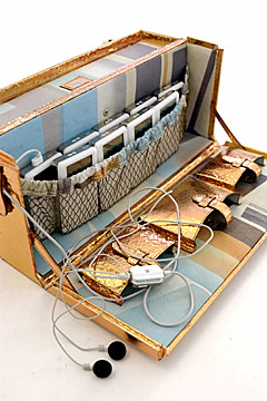 The Top 10 Most Expensive iPod Accessories - Vagablond